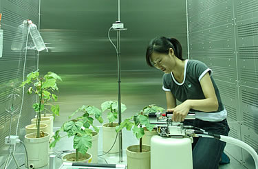 The National University Corporation Arid Land Research Center,Tottori ...