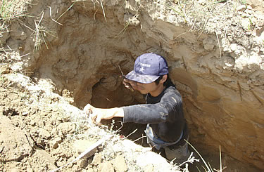 The National University Corporation Arid Land Research Center,Tottori ...
